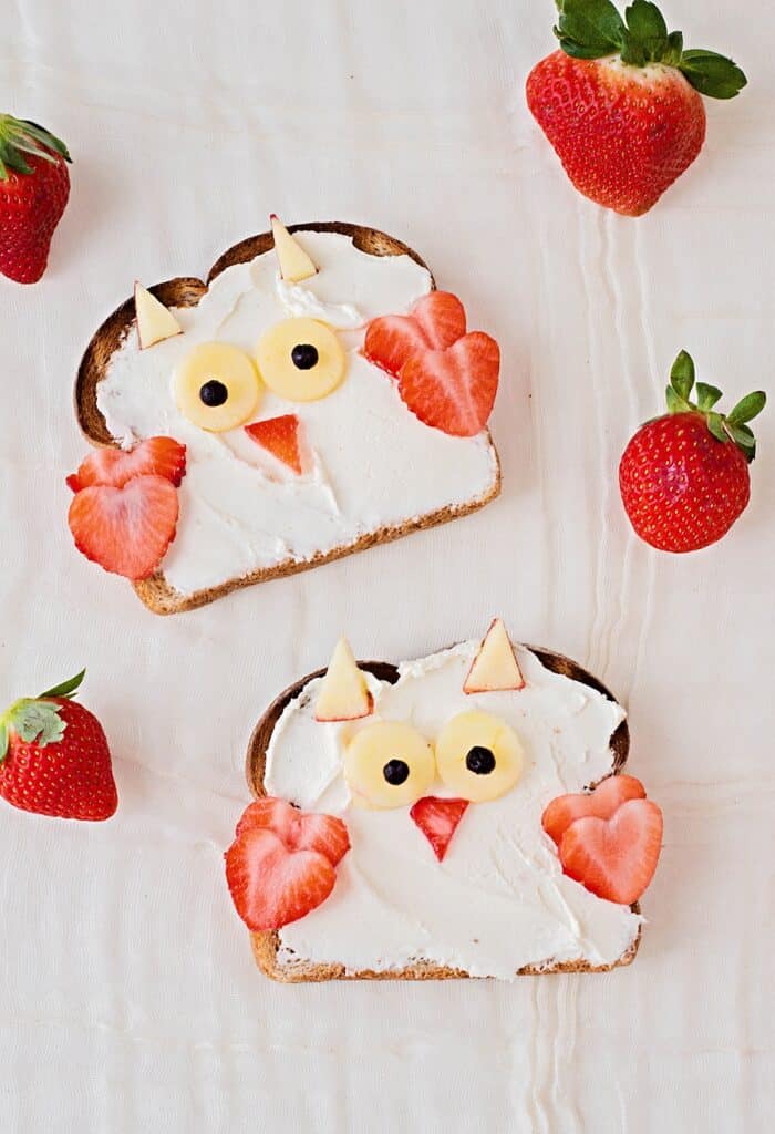 Cute Owl Animal Toast