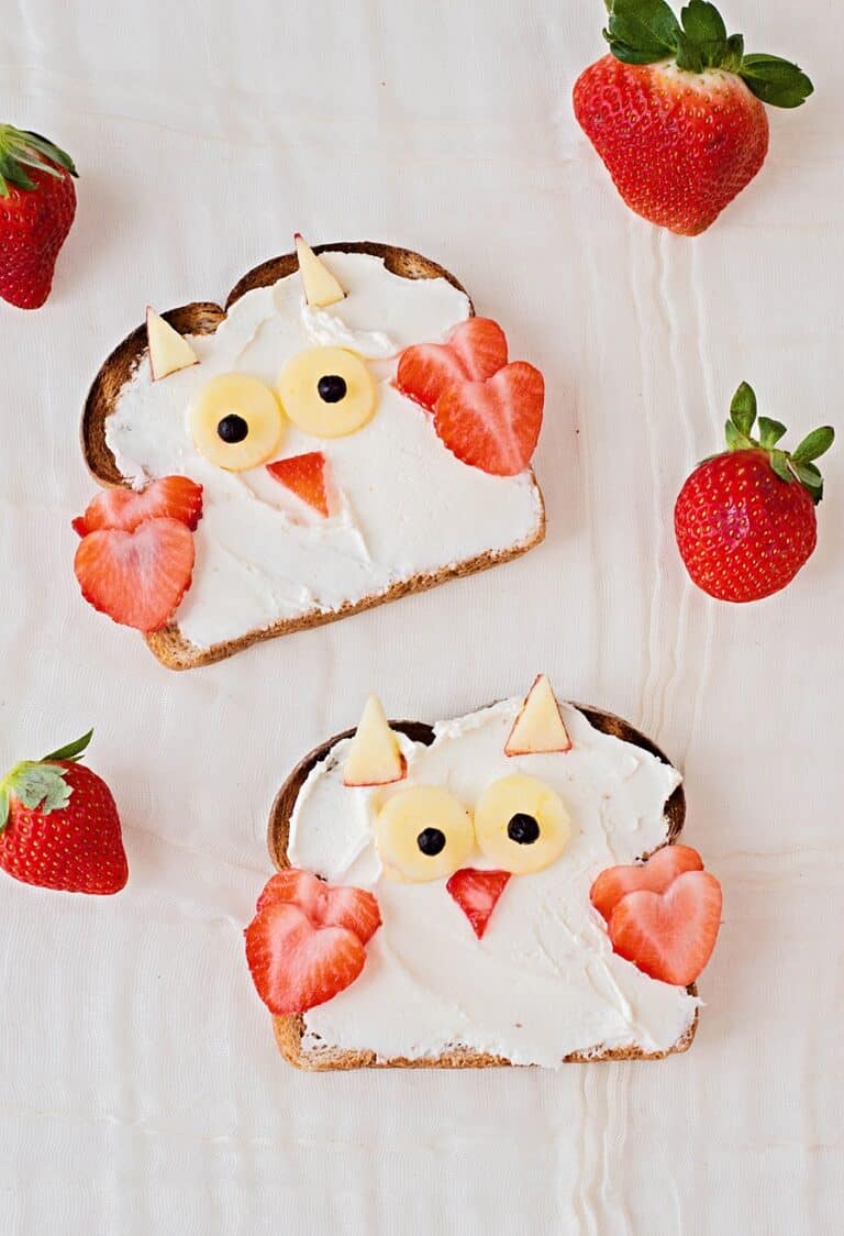 Cute Owl Animal Toast