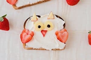 Cute Owl Animal Toast