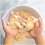 Homemade Cheese Animal Crackers