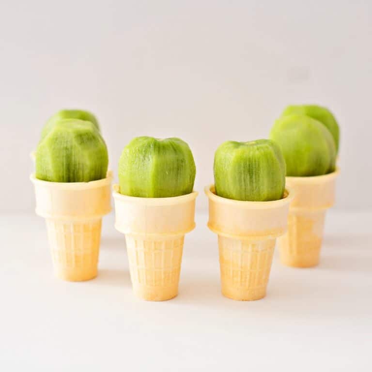 Cactus Kiwi Fruit Ice Cream Cones