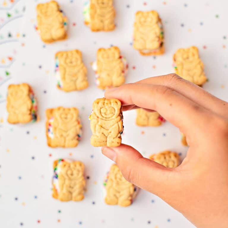 Teddy Bear Graham Ice Cream Sandwiches