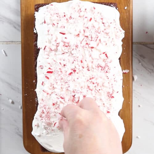 Peppermint Ice Cream Chocolate Cake - Best Peppermint Cake