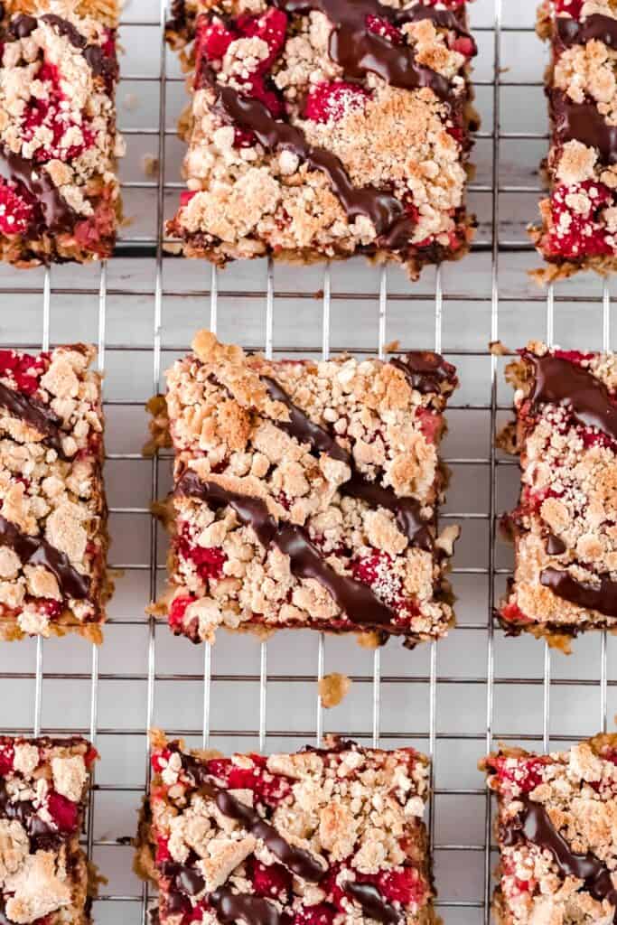 Raspberry Crumble Oat Bars - The Best Recipe!
