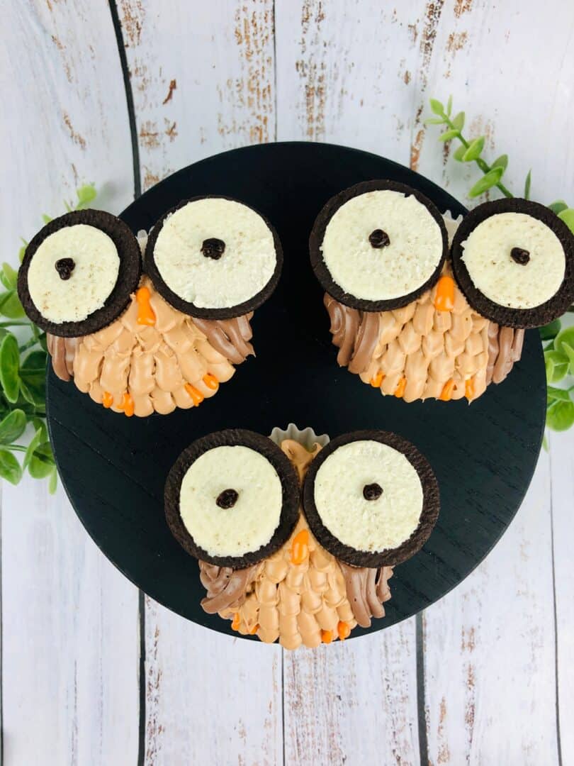 How To Make Easy Owl Cupcakes