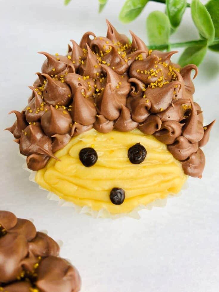 Easy Hedgehog Cupcakes