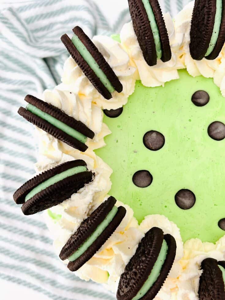 The Easiest Mint Chocolate Ice Cream Cake Recipe