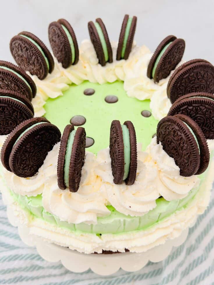 The Easiest Mint Chocolate Ice Cream Cake Recipe