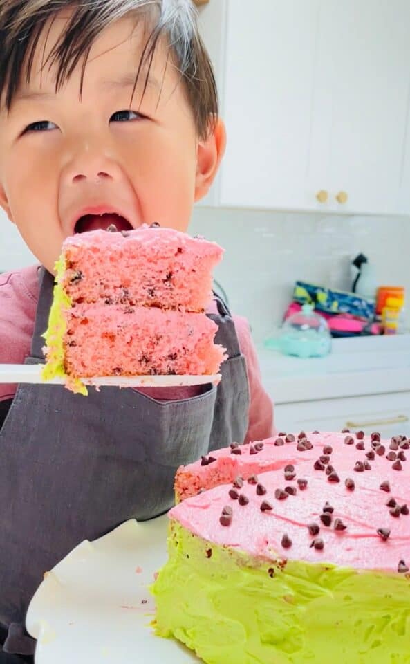Easy Watermelon Cake Recipe