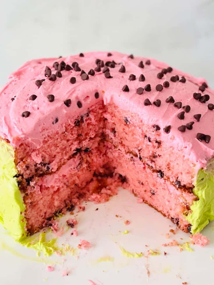 Easy Watermelon Cake Recipe