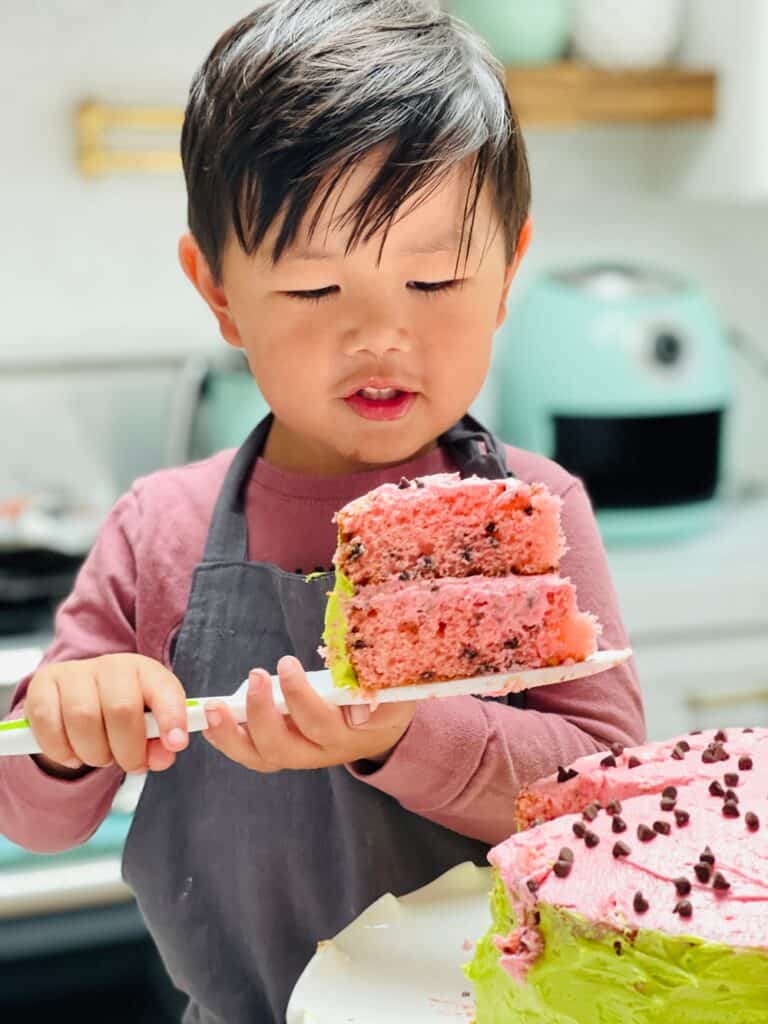 Easy Watermelon Cake Recipe