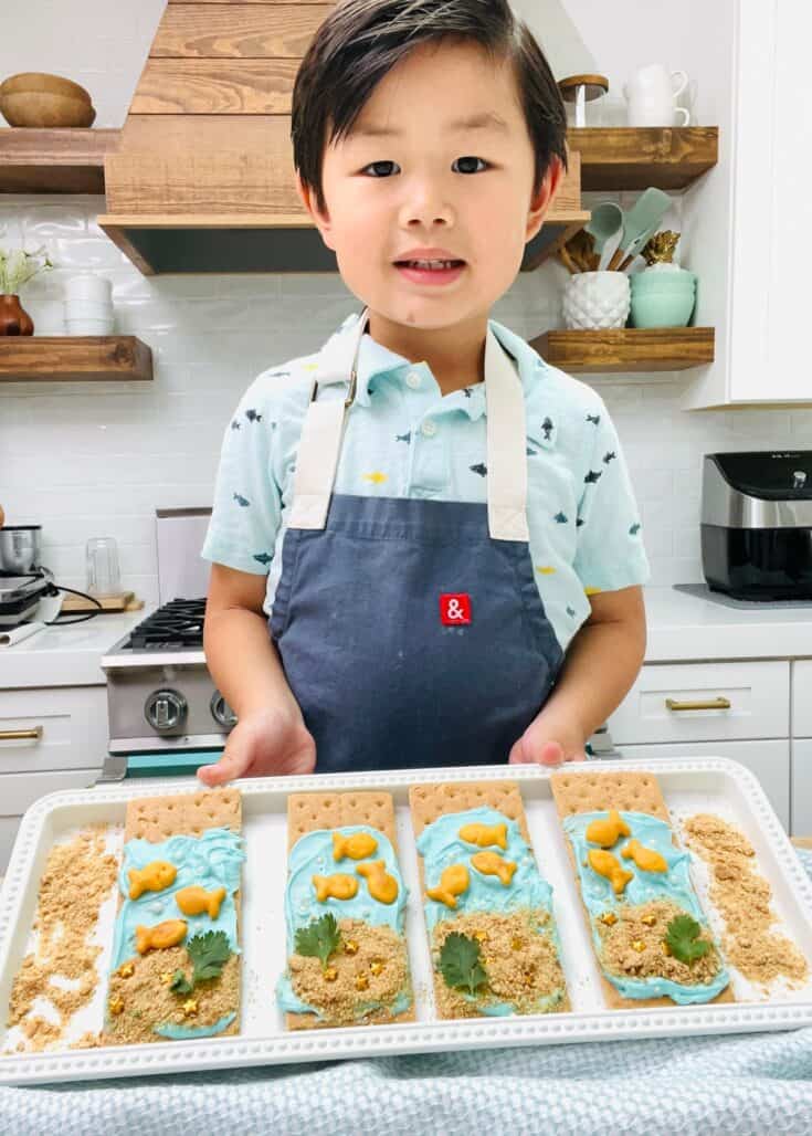Goldfish Graham Cracker Snack