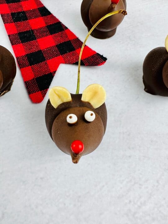 How to Make Chocolate Cherry Mice: The Cutest Chocolate Holiday Treat