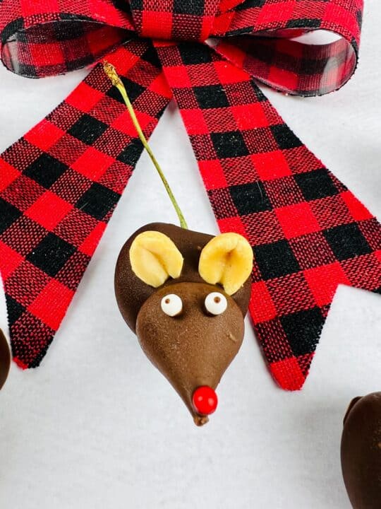 How to Make Chocolate Cherry Mice: The Cutest Chocolate Holiday Treat