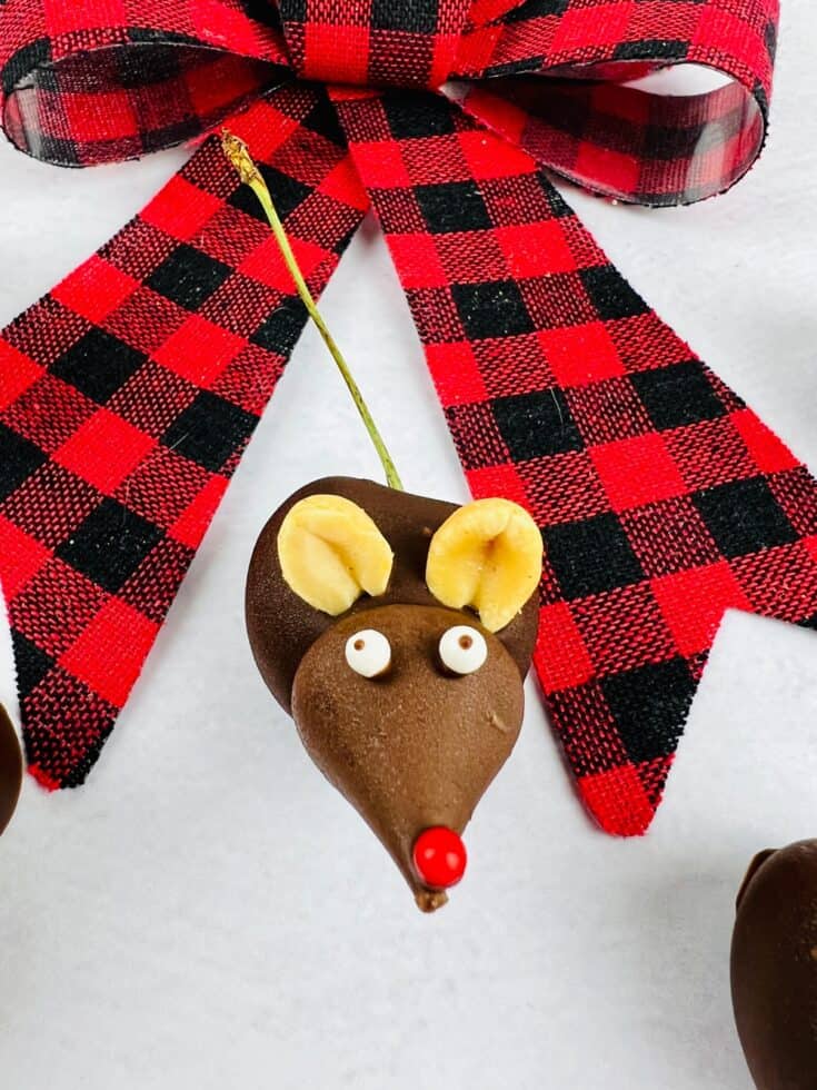 How to Make Chocolate Cherry Mice: The Cutest Chocolate Holiday Treat