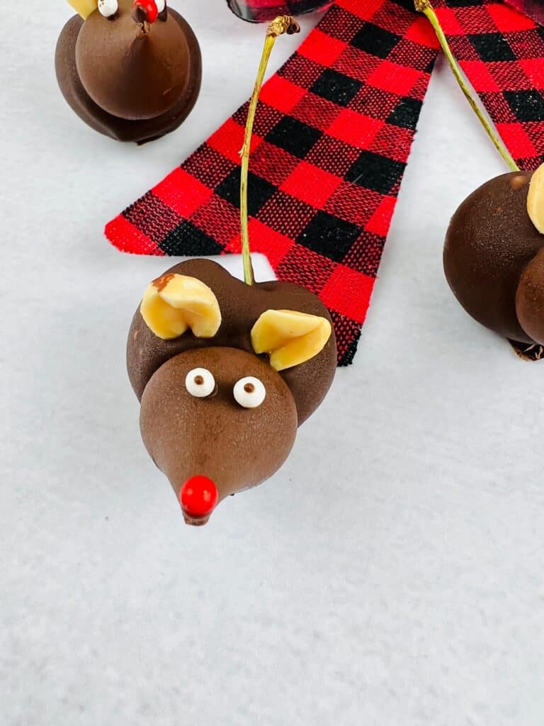 How to Make Chocolate Cherry Mice: The Cutest Chocolate Holiday Treat
