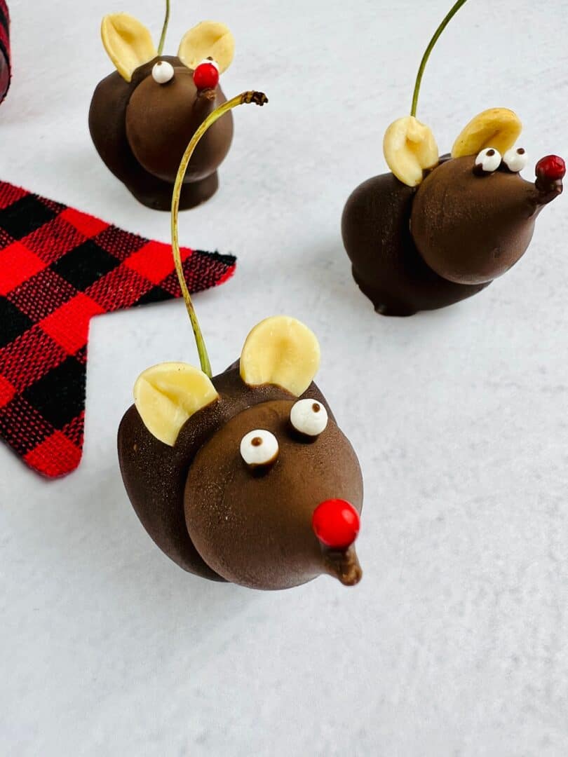 How to Make Chocolate Cherry Mice: The Cutest Chocolate Holiday Treat