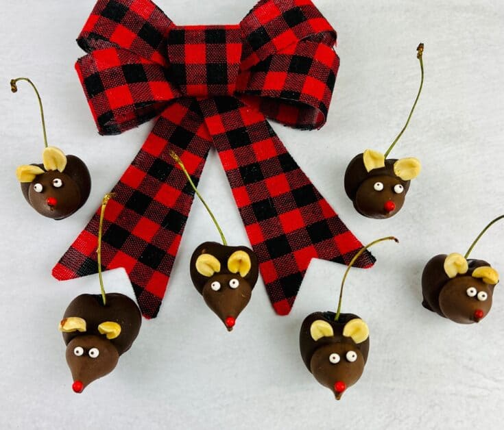 How to Make Chocolate Cherry Mice: The Cutest Chocolate Holiday Treat