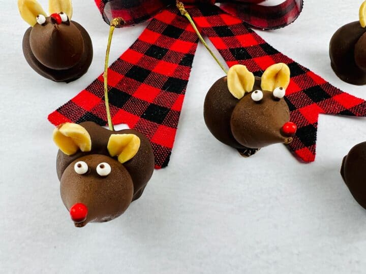 How to Make Chocolate Cherry Mice: The Cutest Chocolate Holiday Treat