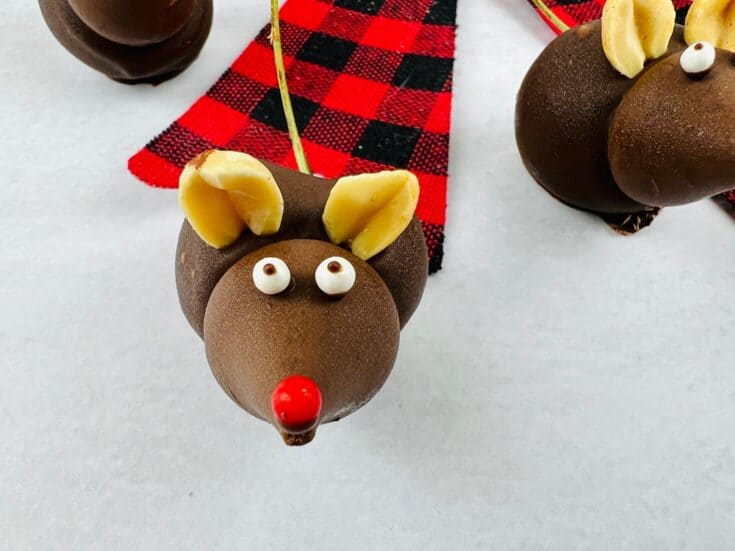 How to Make Chocolate Cherry Mice: The Cutest Chocolate Holiday Treat