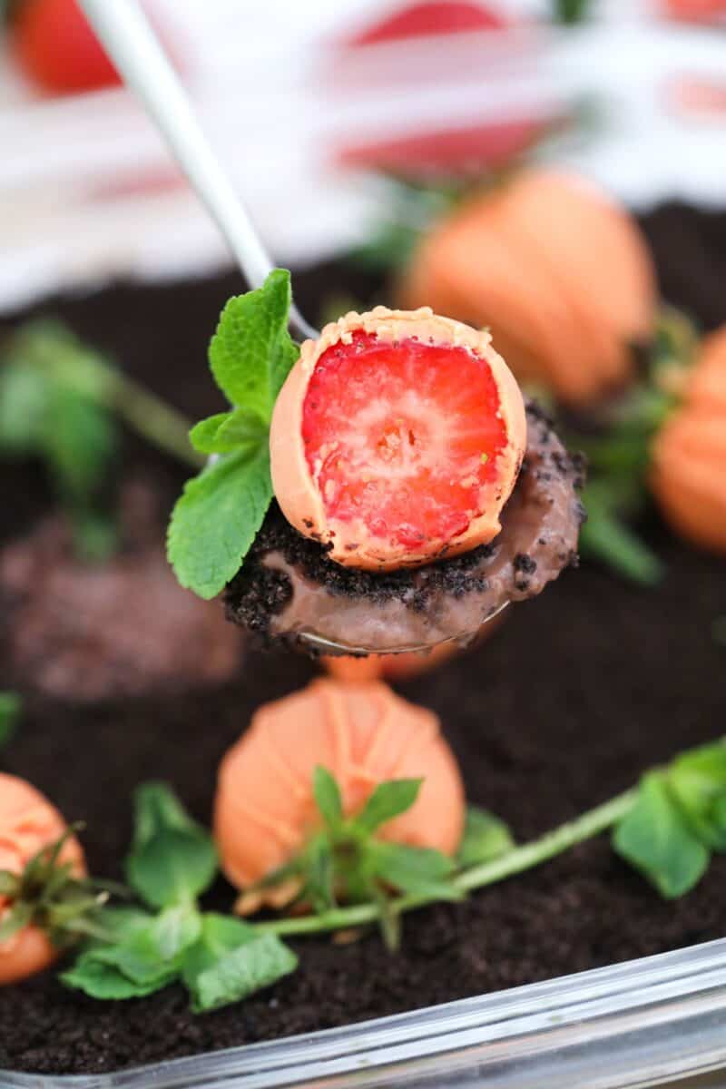 Get Your Sweet Fix with Carrot Patch Strawberries: The Cutest Easter Treat!