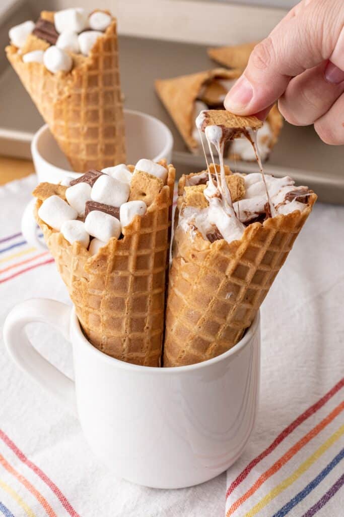 Easy and Delicious S'mores Campfire Cones