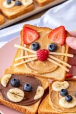 Cute Animal Face Toast: 4 Adorable and Easy Ideas!