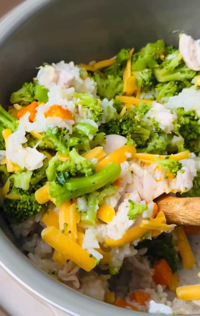 Dream Cooker Honest Review - Family Meals Made Easy