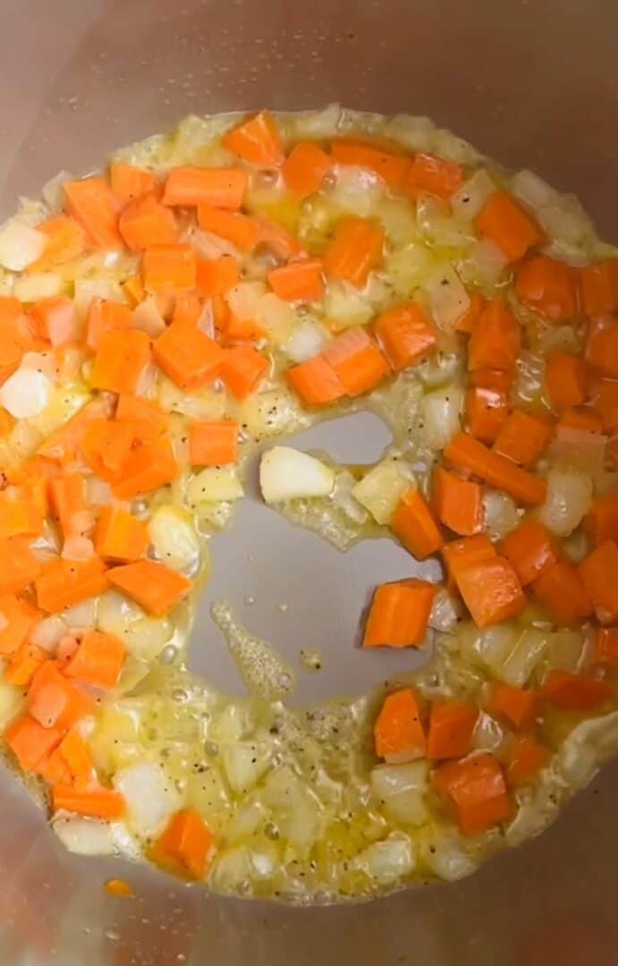 Dream Cooker Honest Review - Family Meals Made Easy