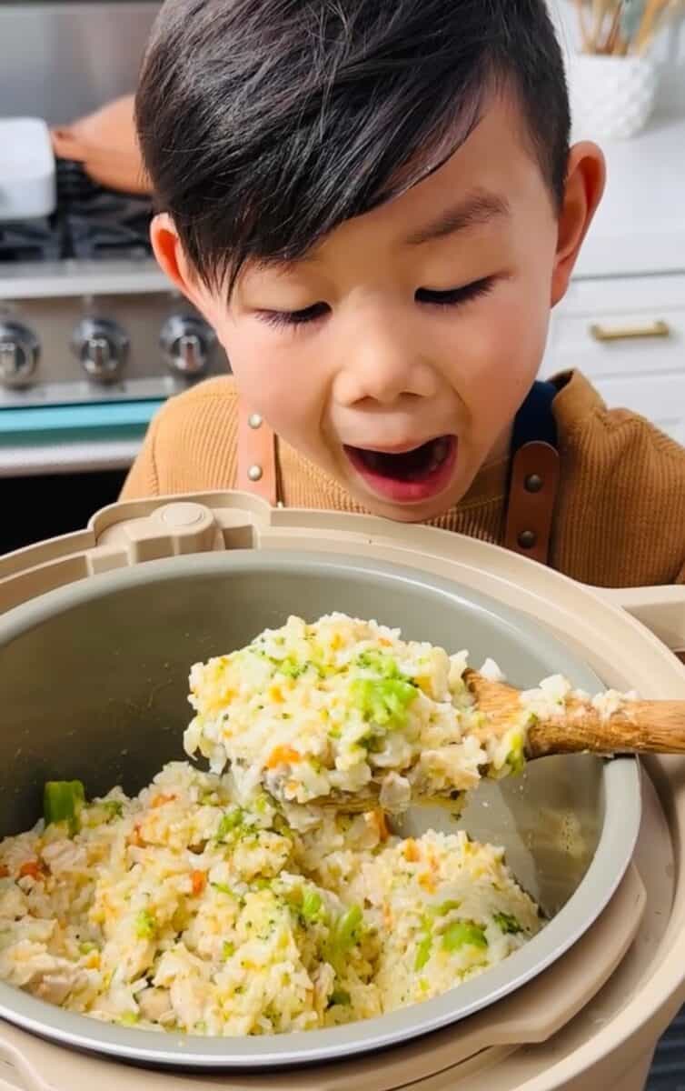 Dream Cooker Honest Review - Family Meals Made Easy