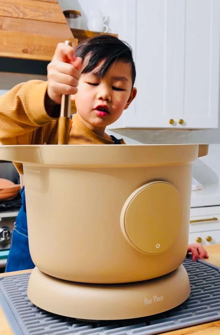 Dream Cooker Honest Review - Family Meals Made Easy