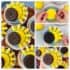 Solar Eclipse Cupcakes 2024 - Solar Eclipse Treats