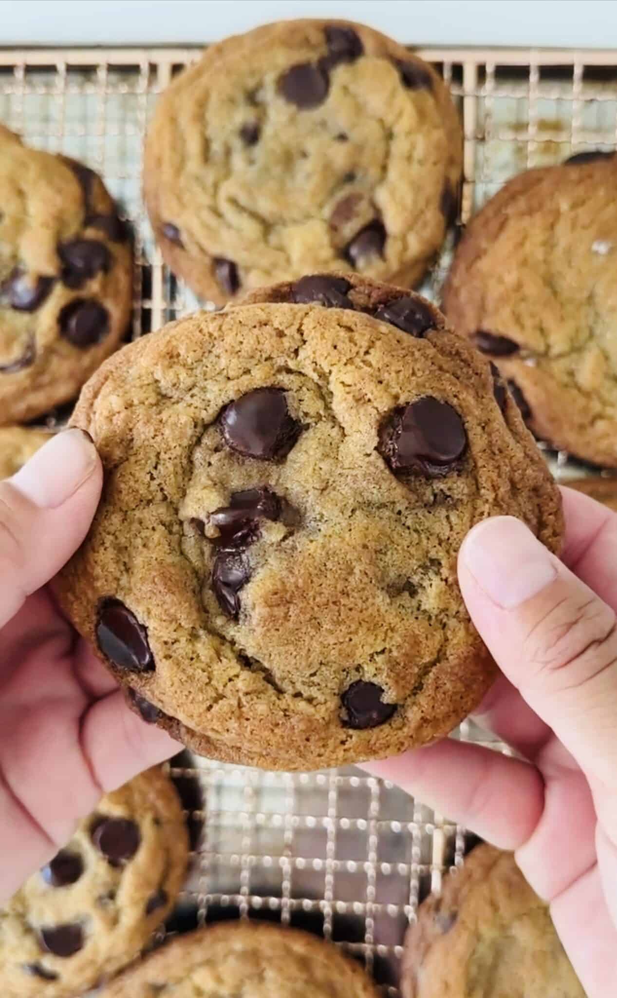 Million Dollar Chocolate Chip Cookies - The BEST recipe!
